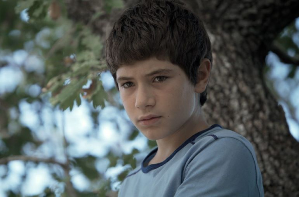 festival - Bergamo Film Meeting 41 - Le proprietà dei metalli di ...